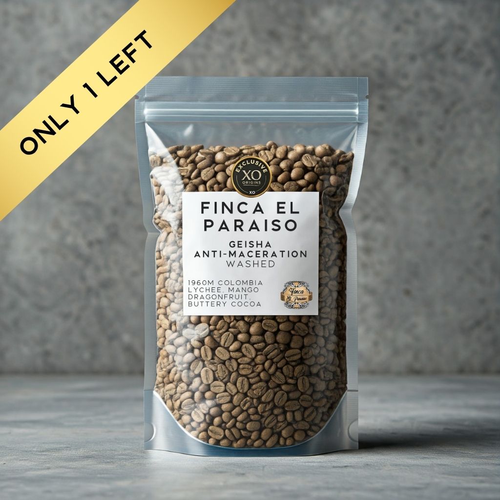 Finca El Paraíso - Geisha Anti-Maceration 100g - Specialty Coffee from ...